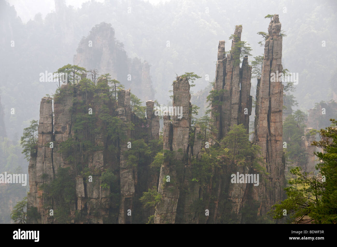 Sandstone pillars Wulingyuan Scenic National Park Hunan Province China ...