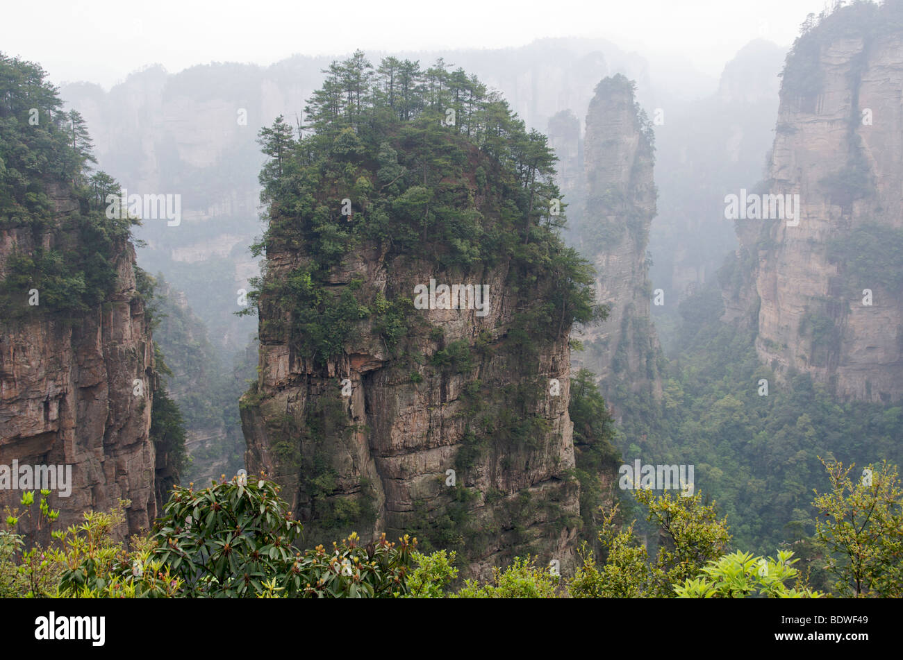 Sandstone pillars Wulingyuan Scenic National Park Hunan Province China ...