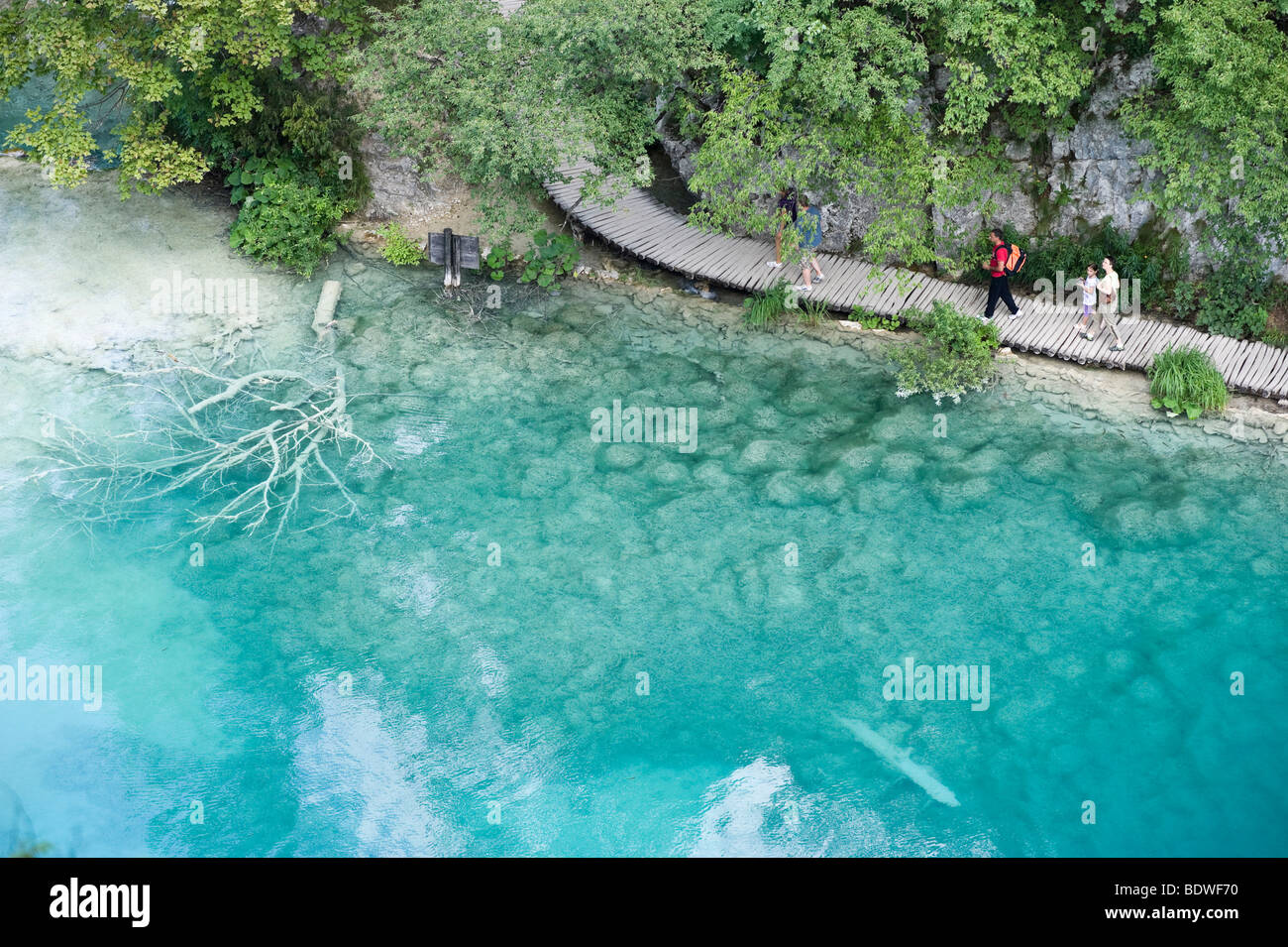 Turquoise, mineral water with petrified trees, Plitvice Lakes National ...