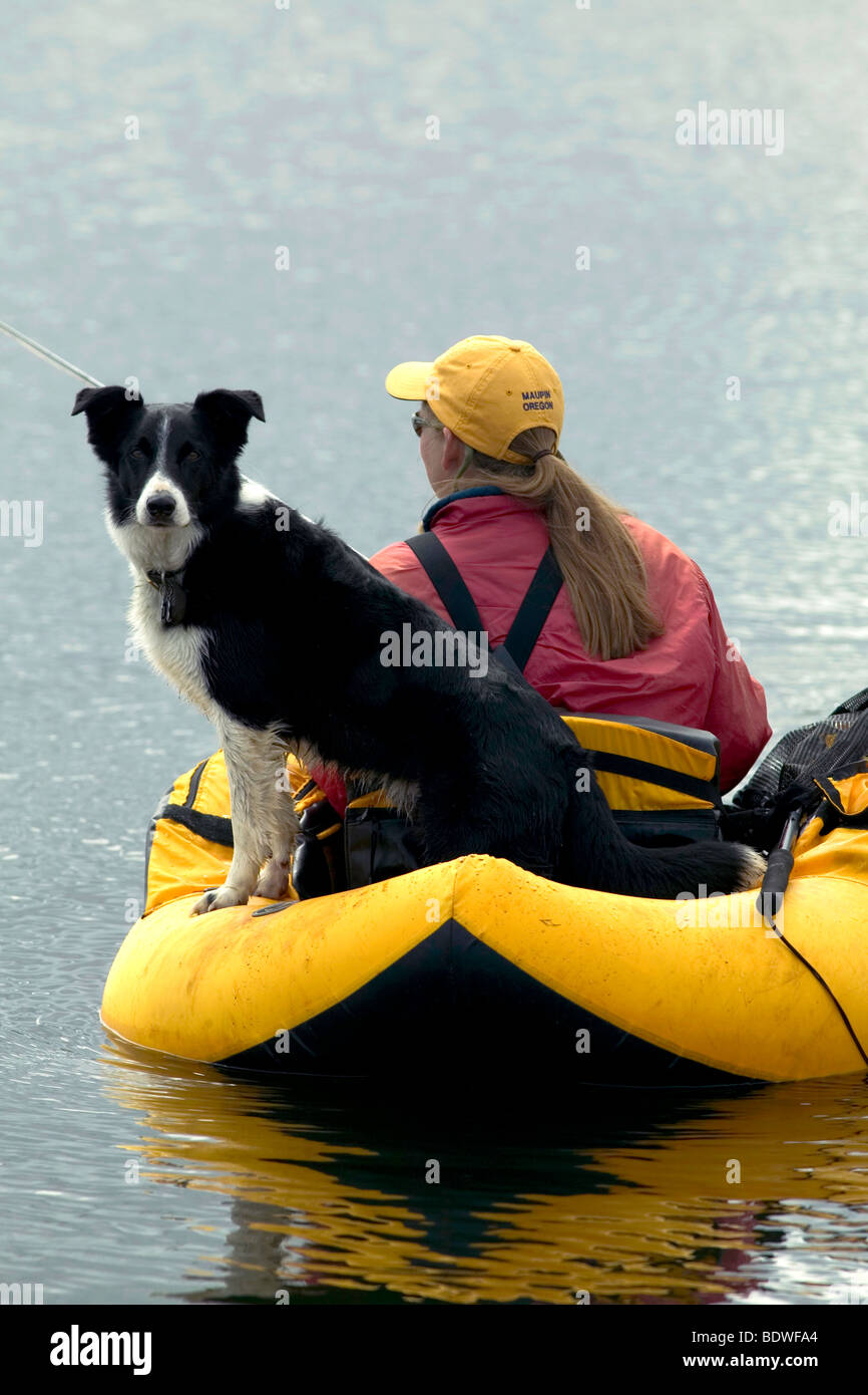 A Border Collie catches a ride on its owners float tube while fly ...