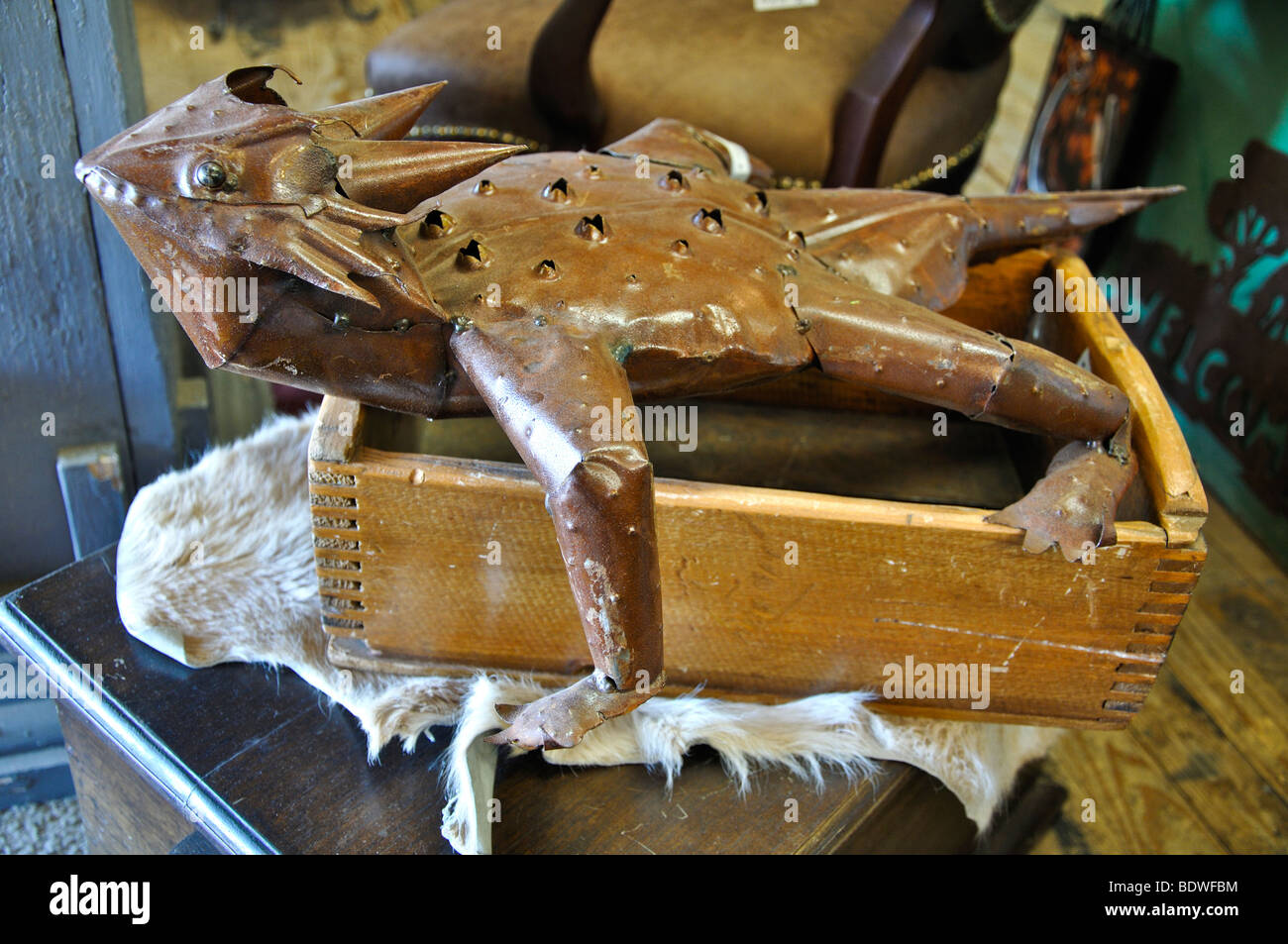 Horned toad hi-res stock photography and images - Alamy