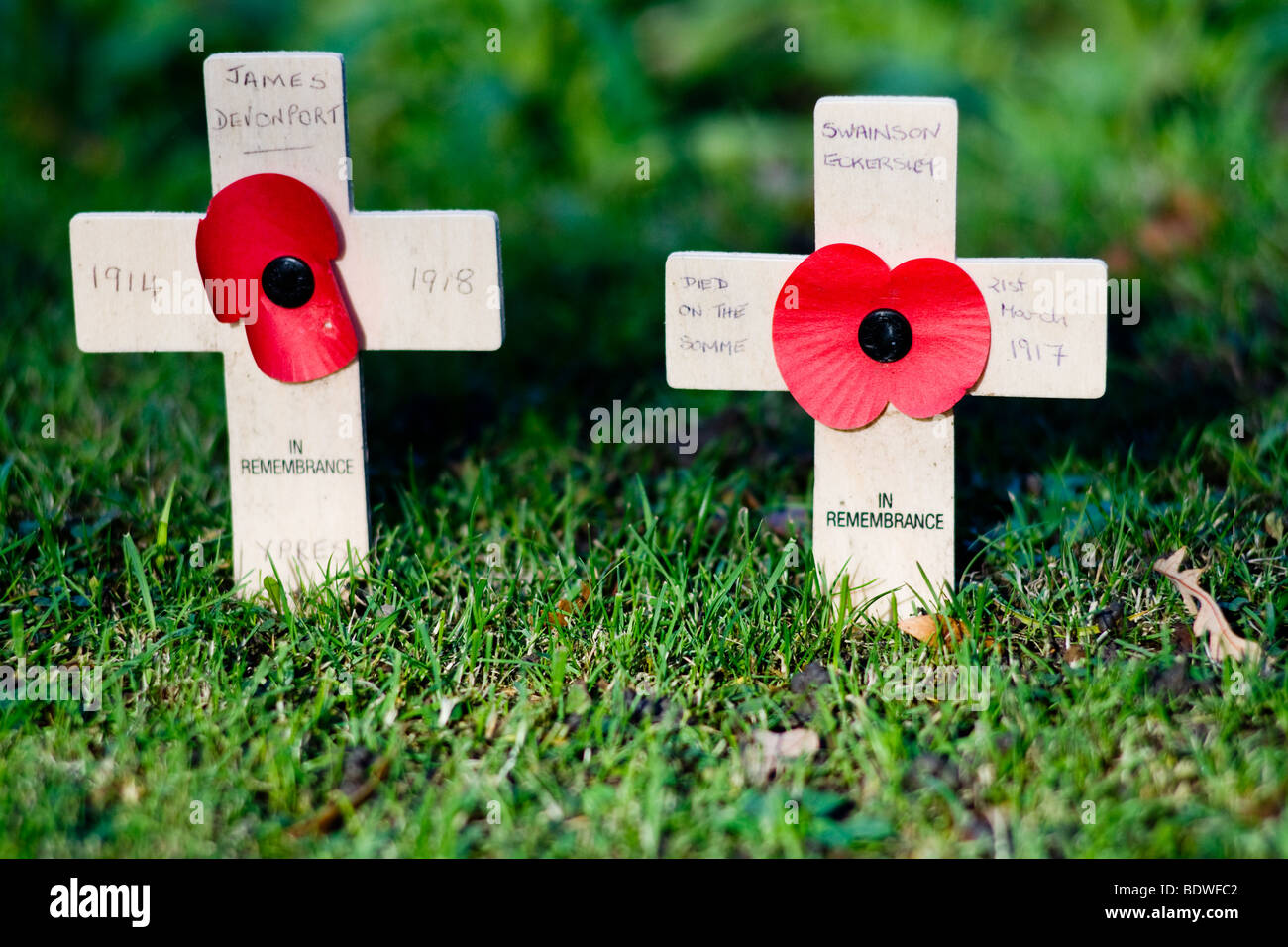 Remembrance day crosses placed hi-res stock photography and images - Alamy