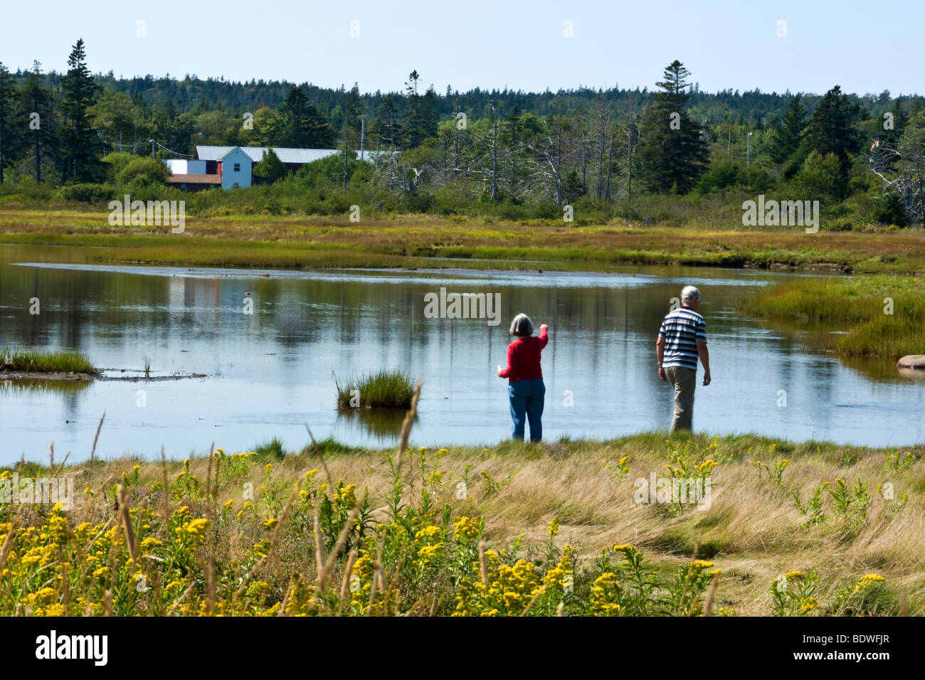 Castalia Stock Photos & Castalia Stock Images - Alamy