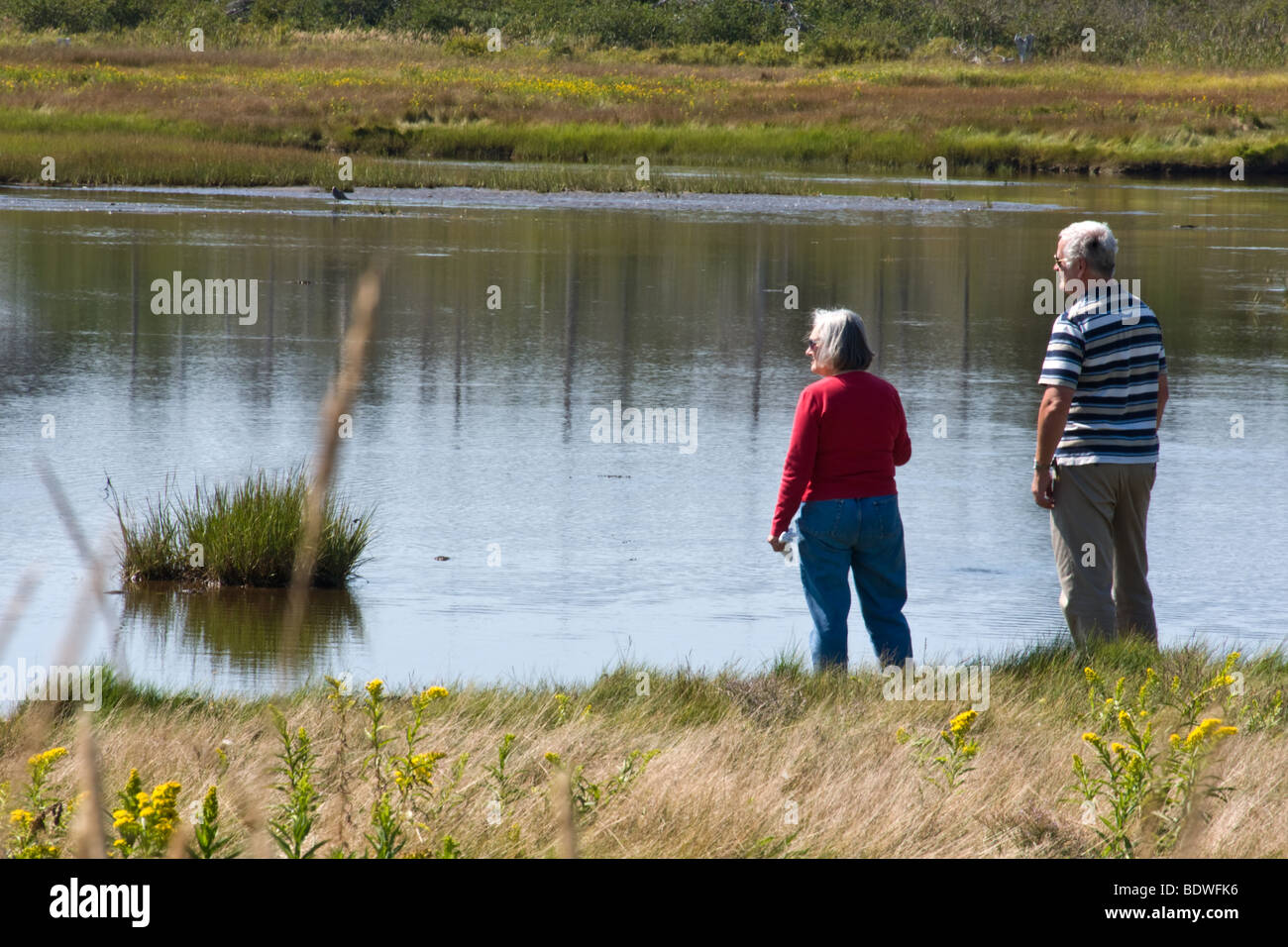 Castalia Stock Photos & Castalia Stock Images - Alamy