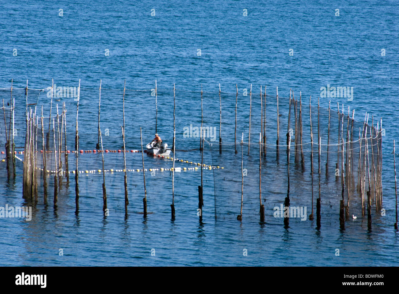 herring weir Grand Manan New Brunswick Canada Stock Photo - Alamy herring weir Grand Manan New Brunswick Canada Stock Photo - Alamy