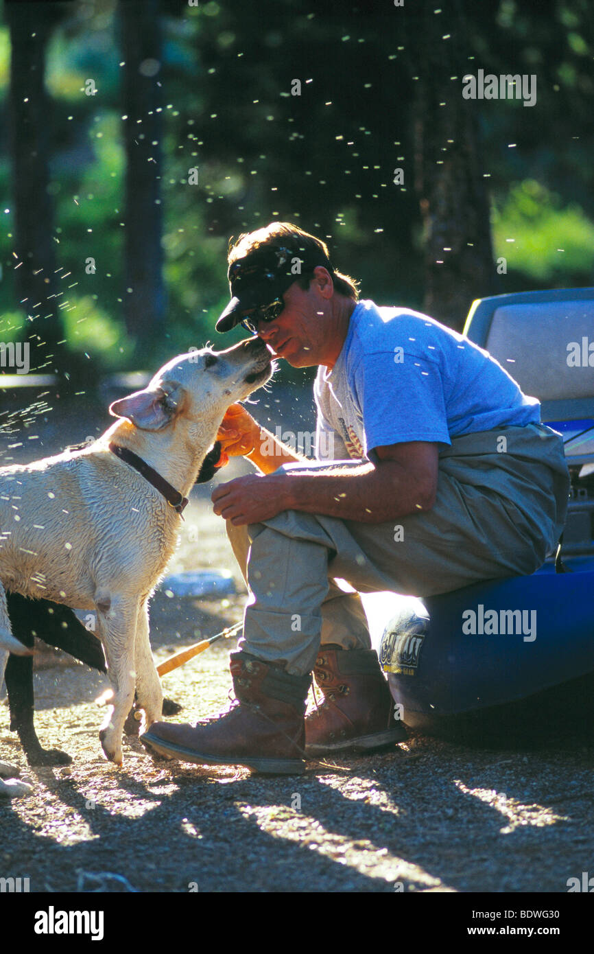 (MR) A yellow lab is glad to see his master at the end of a long day of ...