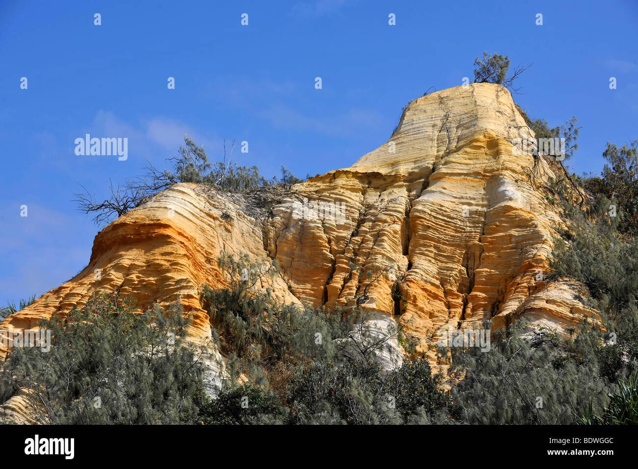 Sand formation, The Pinnacles, UNESCO World Natural Heritage Site ...