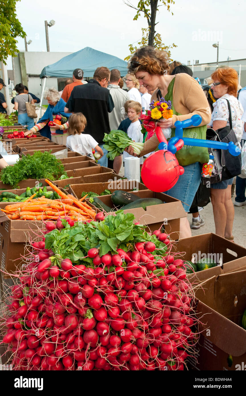 Purchasing vegetables at the Fort Garry farmers market near Winnipeg ...