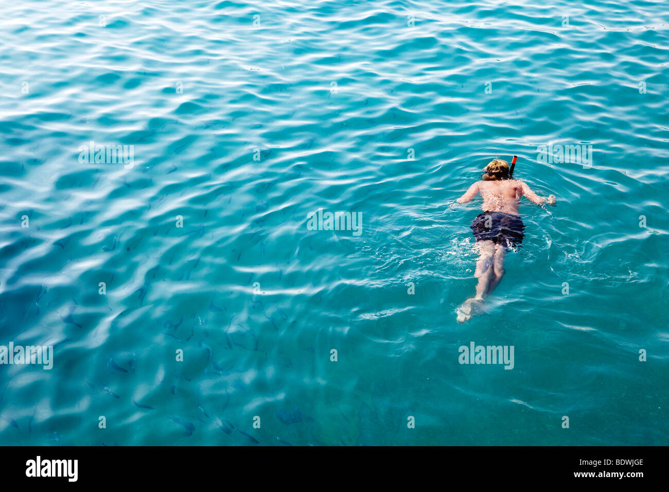 man diving in sea in summer day Stock Photo - Alamy