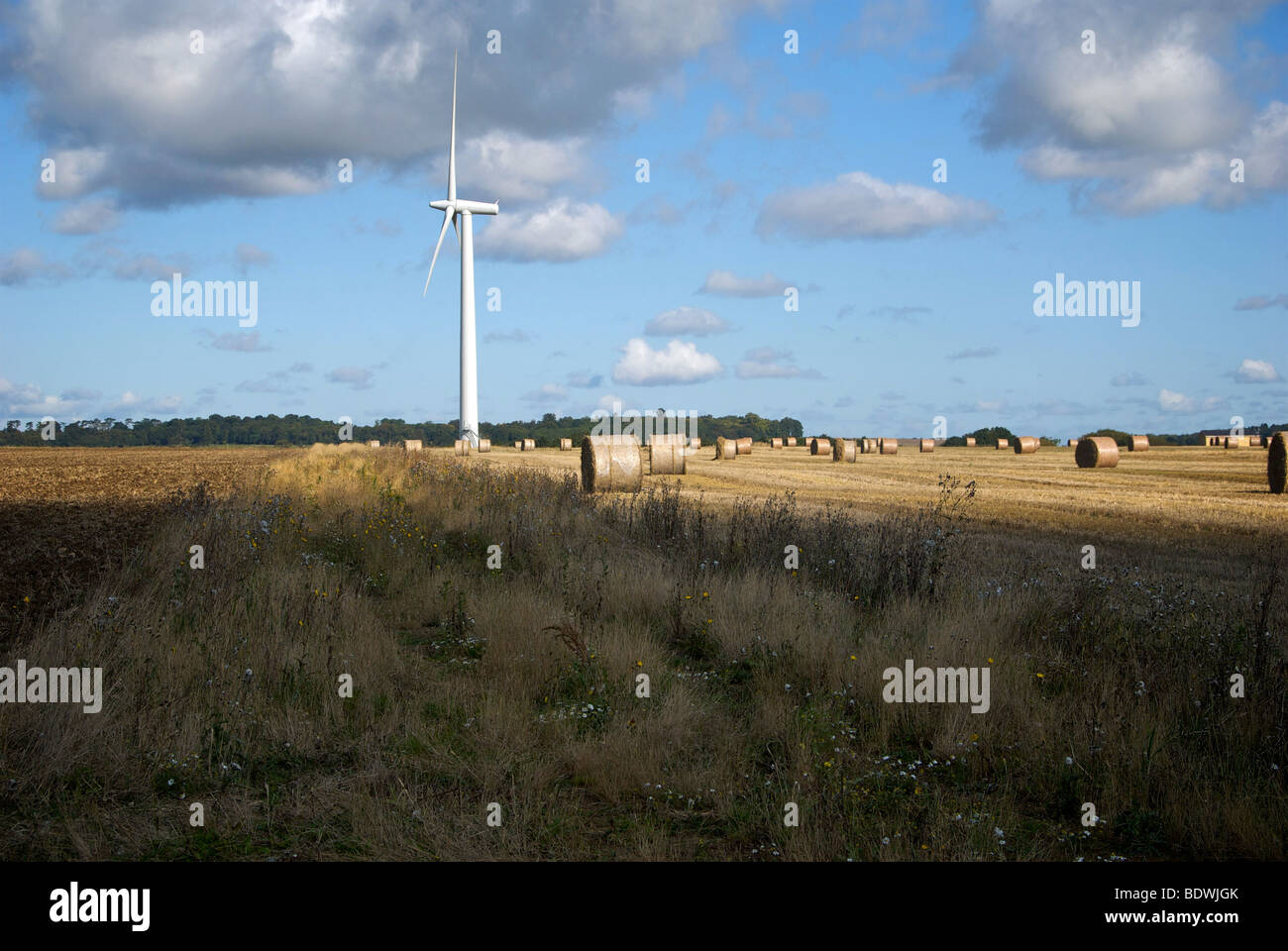 Westmill West Mill Wind Turbines Watchfield Swindon Wiltshire UK Field ...