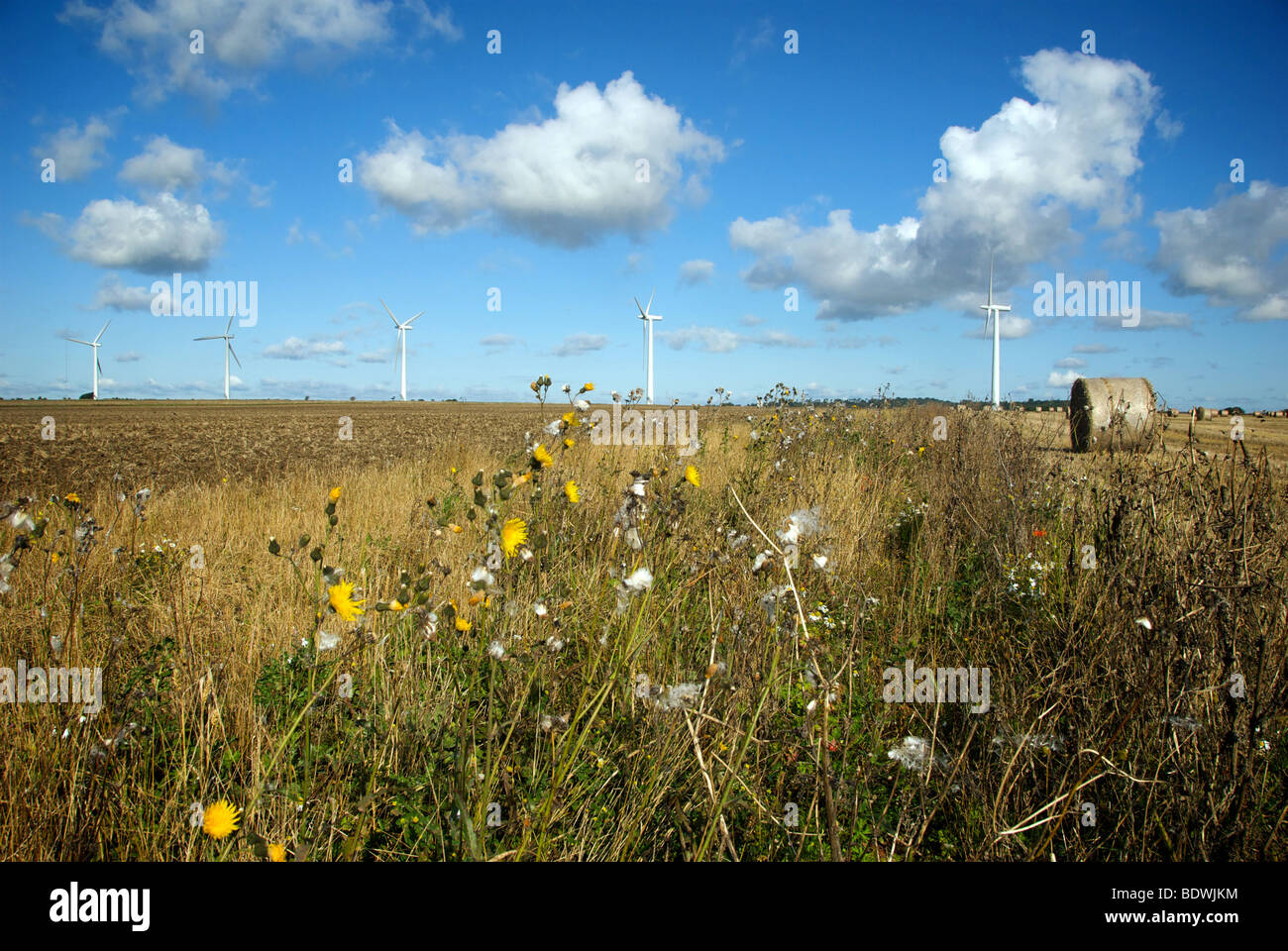 Westmill West Mill Wind Turbines Watchfield Swindon Wiltshire UK Field ...