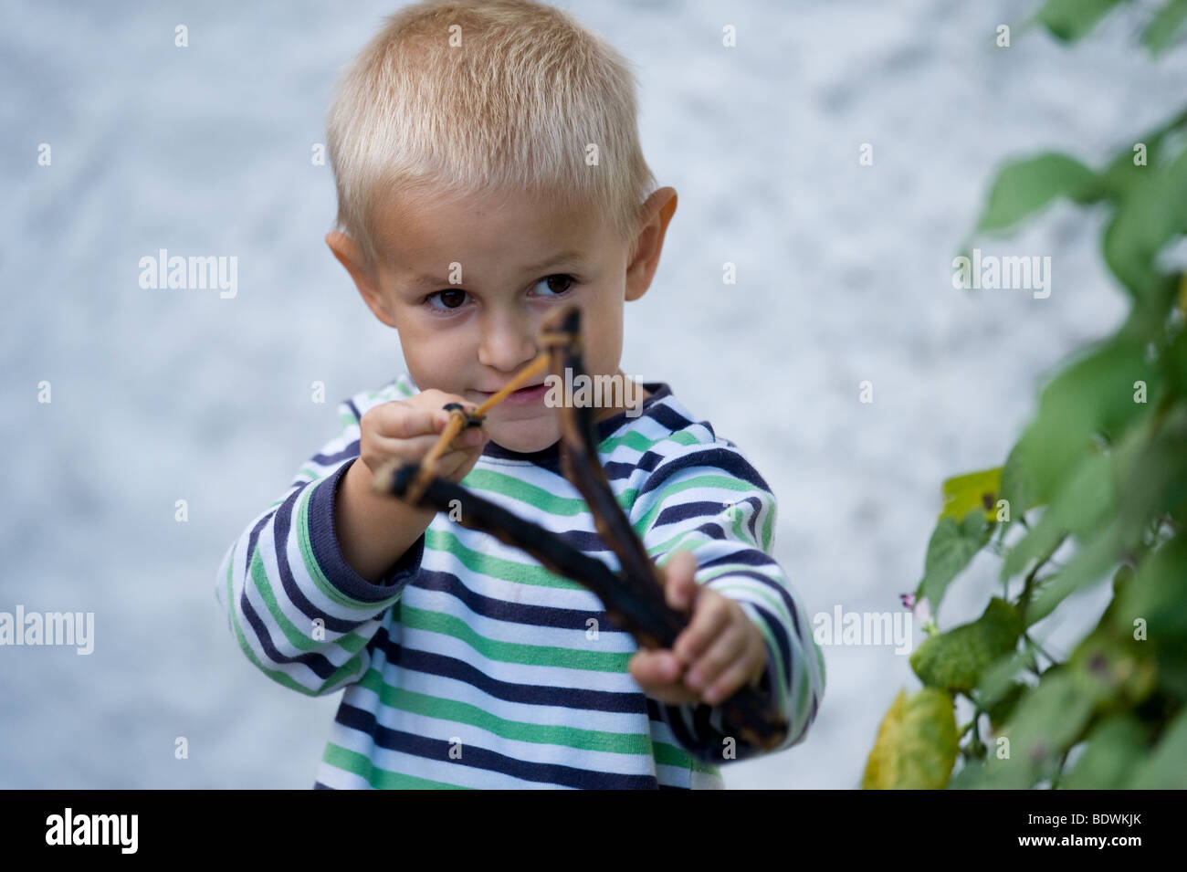Bean shooter hi-res stock photography and images - Alamy