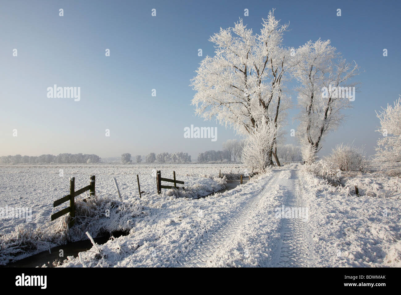 Road through Blockland landscape conservation area in the winter with ...