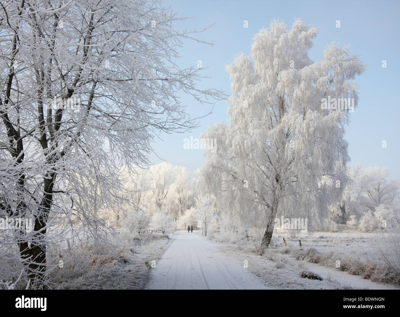Road through Blockland landscape conservation area in the winter with ...