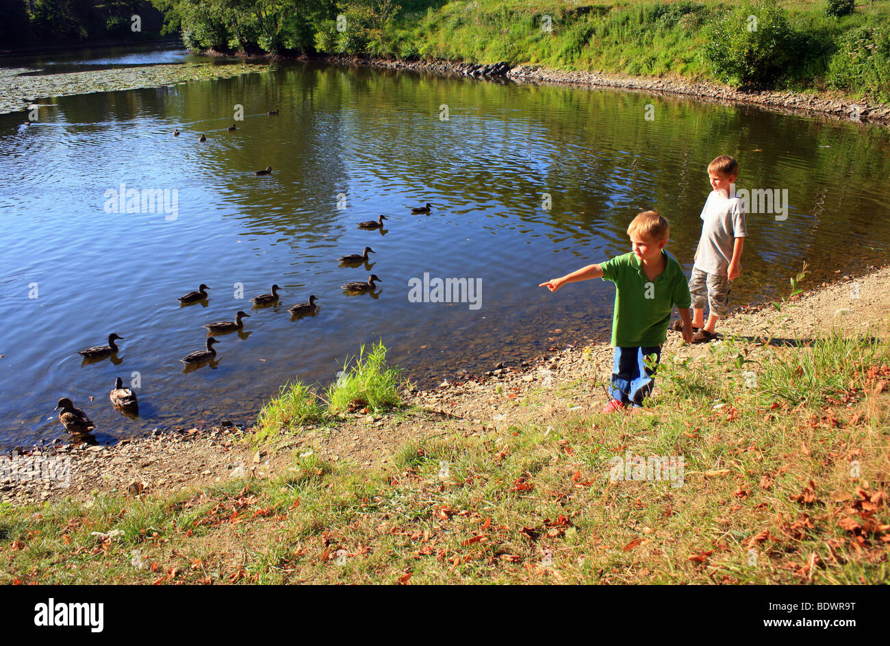 Two boys pointing at ducks on lake, Grand Etang, Torigni-sur-Vire ...
