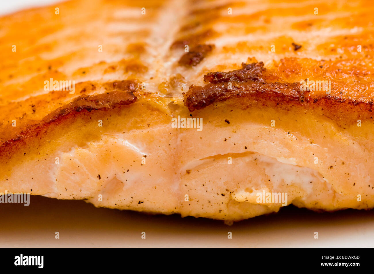Cooked Salmon Fish Fillet Studio Shoot Stock Photo - Alamy