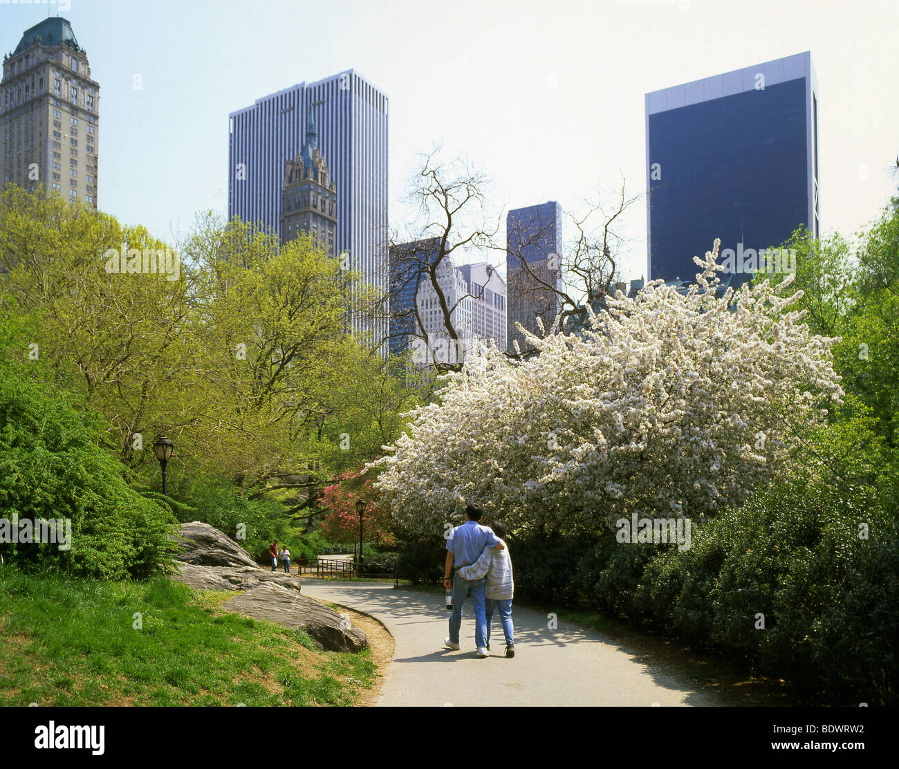 Central Park at spring, New York, USA Stock Photo - Alamy