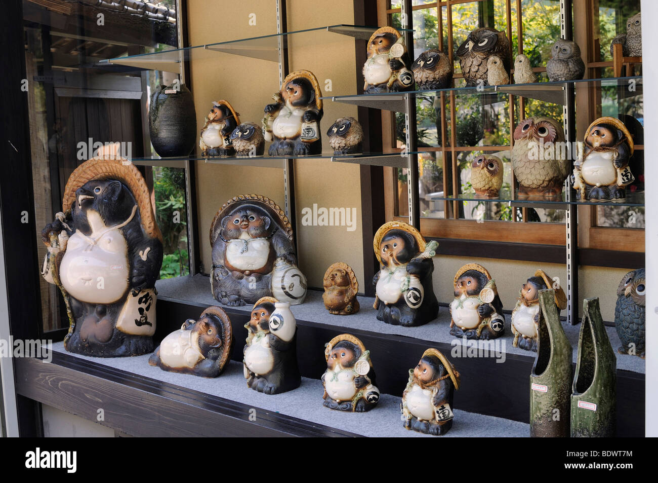 Japanese raccoon dog hi-res stock photography and images - Alamy