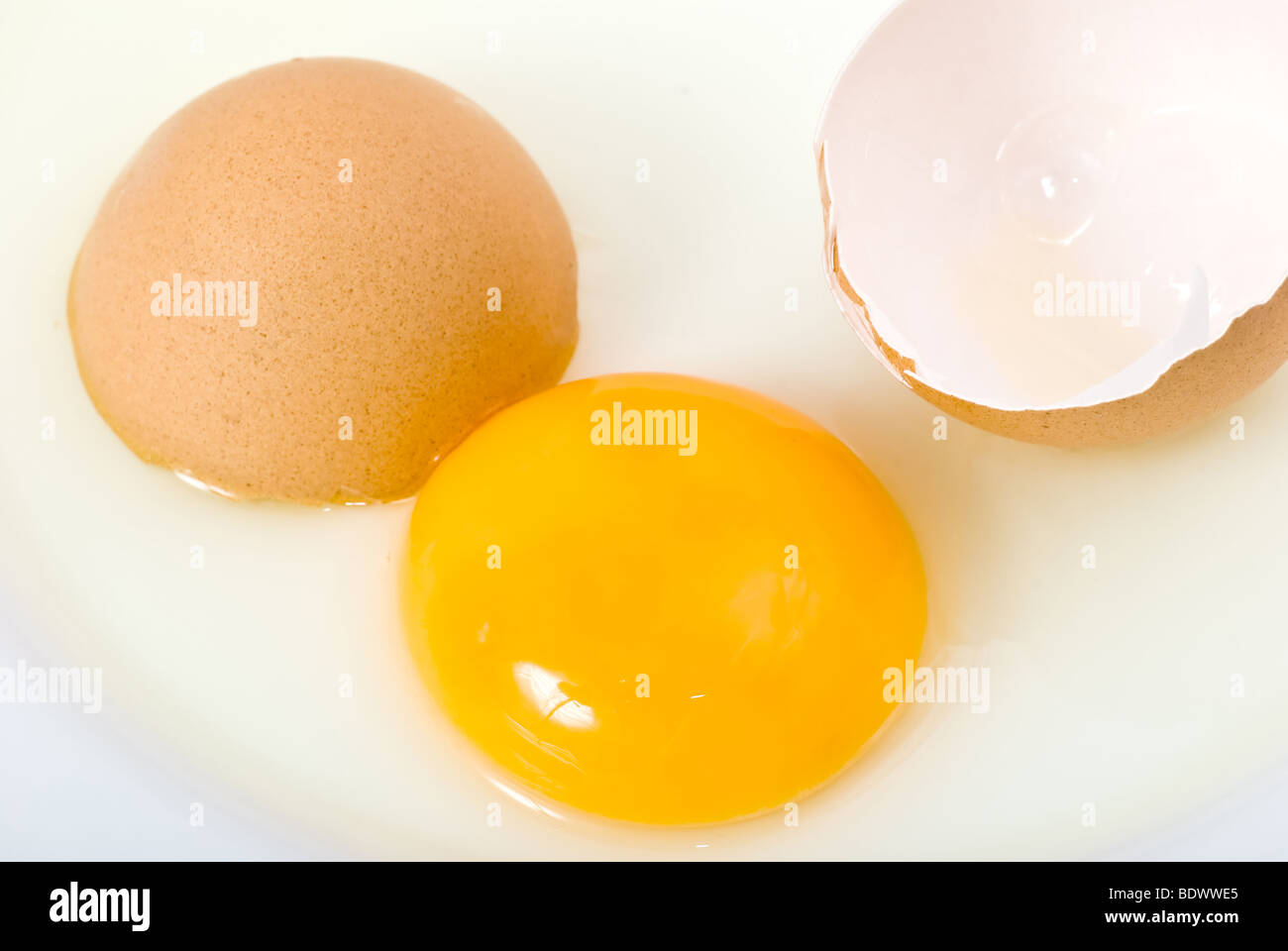Cracked brown egg, spilling on white Stock Photo - Alamy