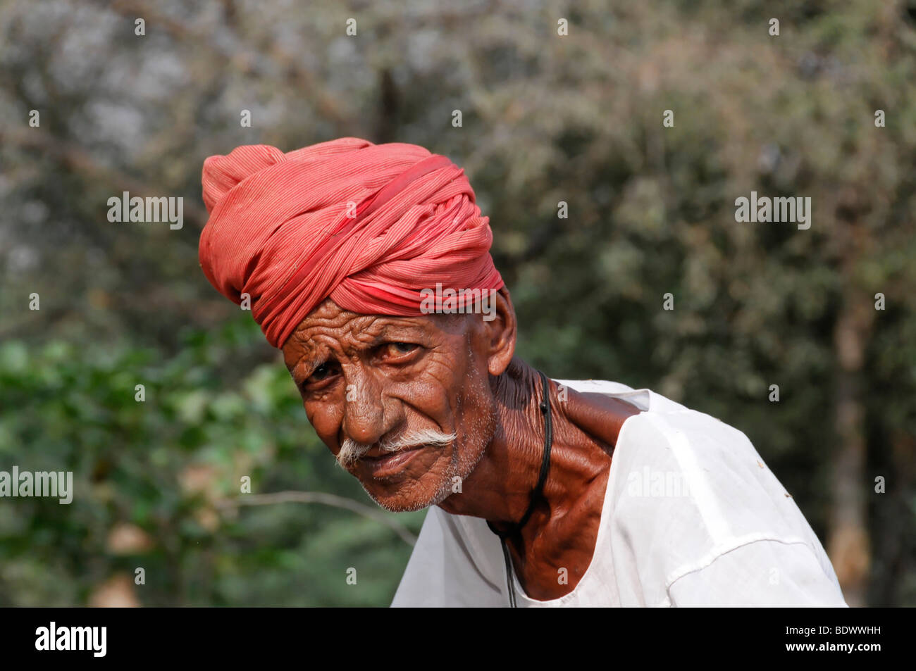 Indian old farmer High Resolution Stock Photography and Images - Alamy
