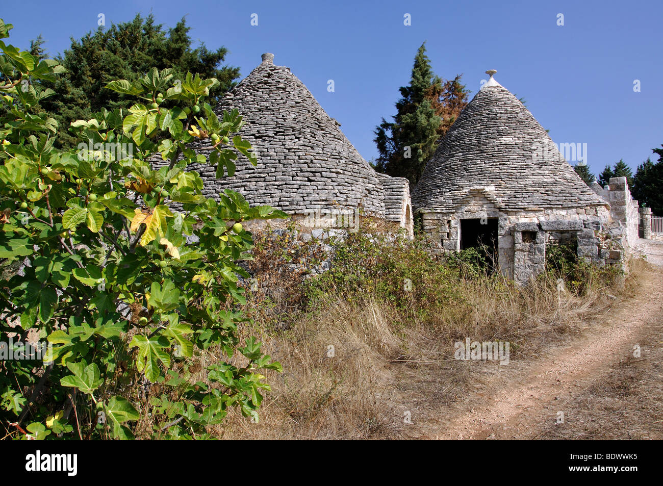 Trulli houses in countryside, La Valle D’Itria, Bari Province, Puglia ...