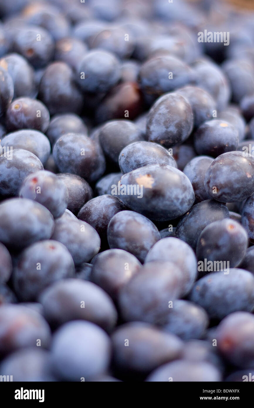 Damsons hi-res stock photography and images - Alamy