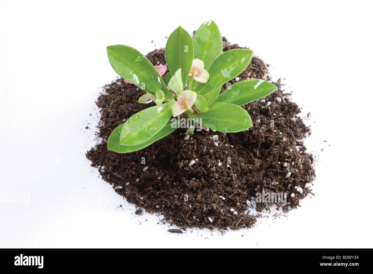 Horizontal spout Cut Out Stock Images & Pictures - Alamy