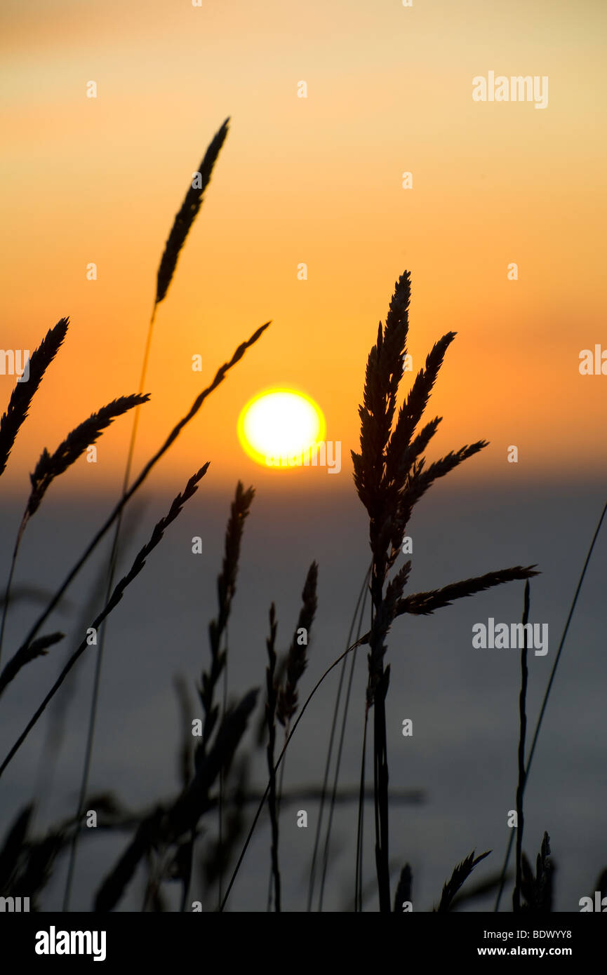 Moody welsh scene hi-res stock photography and images - Alamy