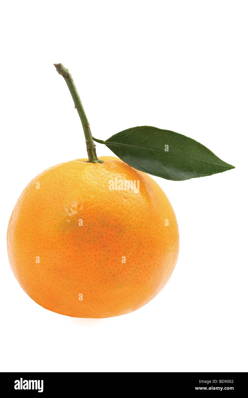 Orange vertical image Cut Out Stock Images & Pictures - Alamy