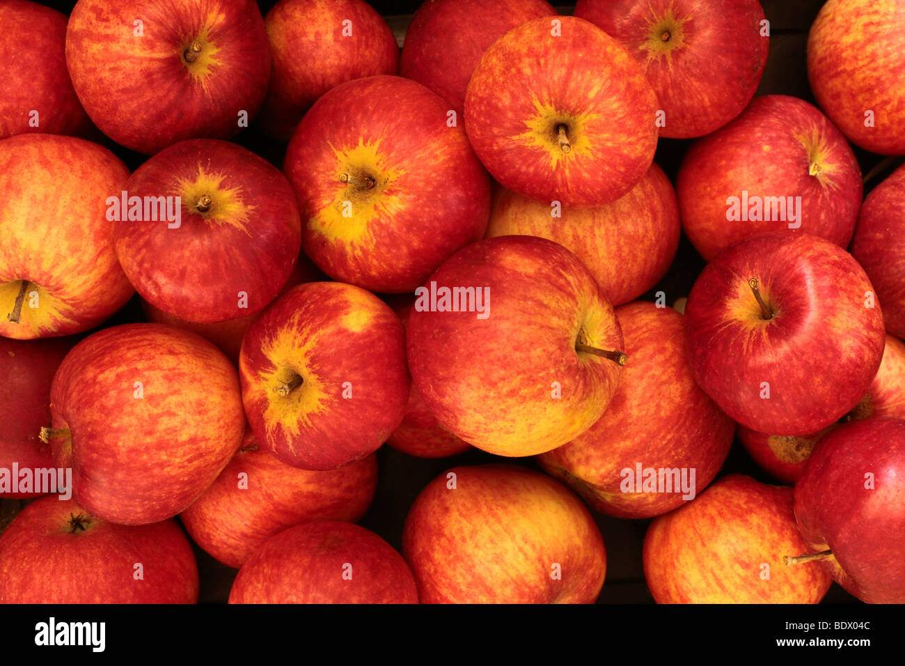 Many Red Apples Stock Photo - Alamy