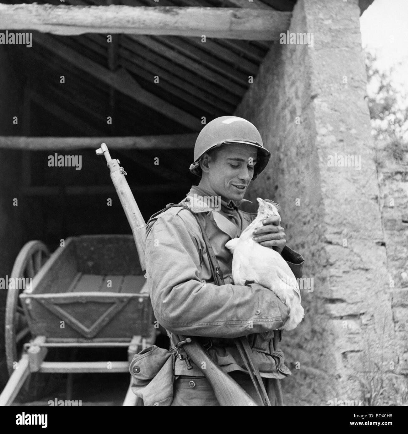 D-DAY 1944 - US soldier with "liberated" chicken at a French farm, 8 ...