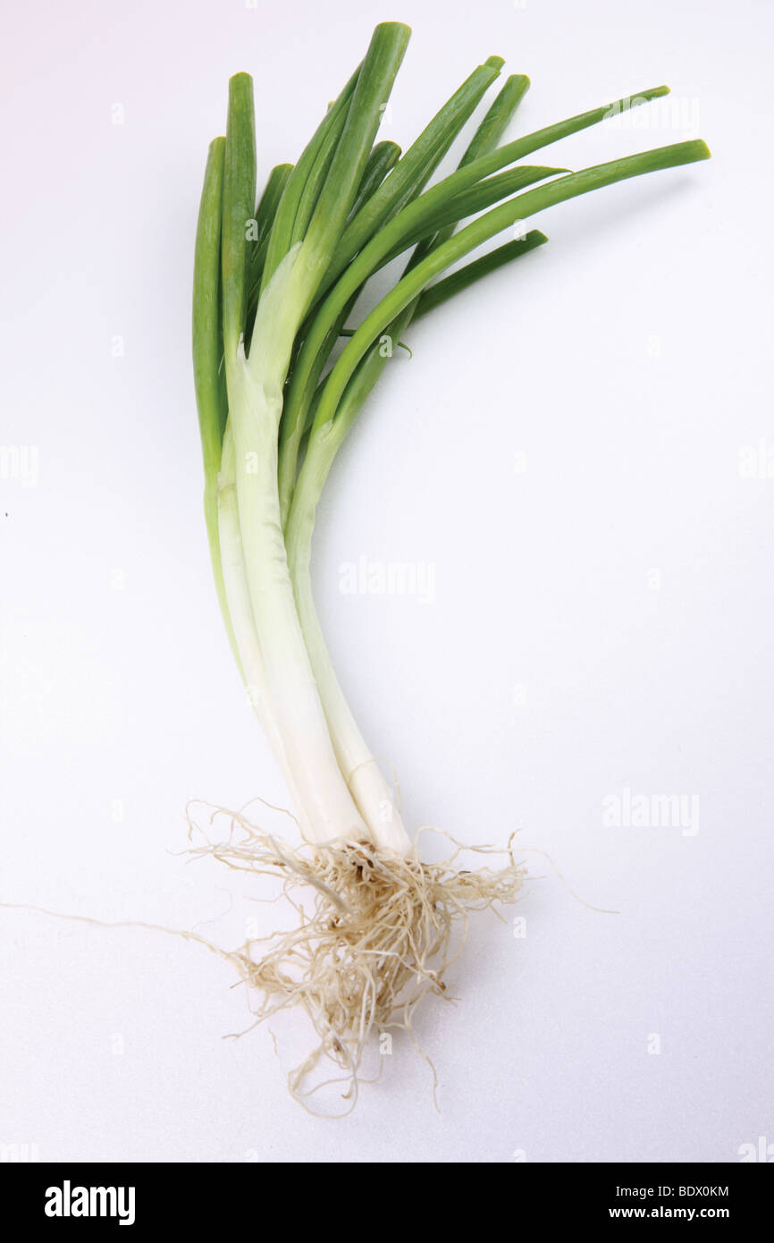 White scallion hi-res stock photography and images - Alamy