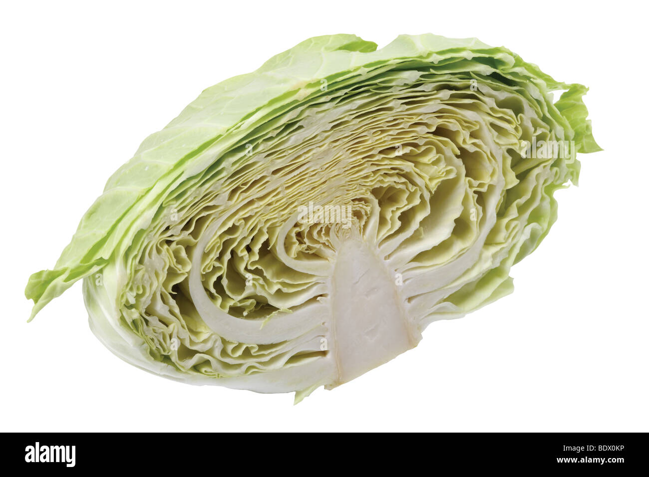 slices of cabbage Stock Photo - Alamy