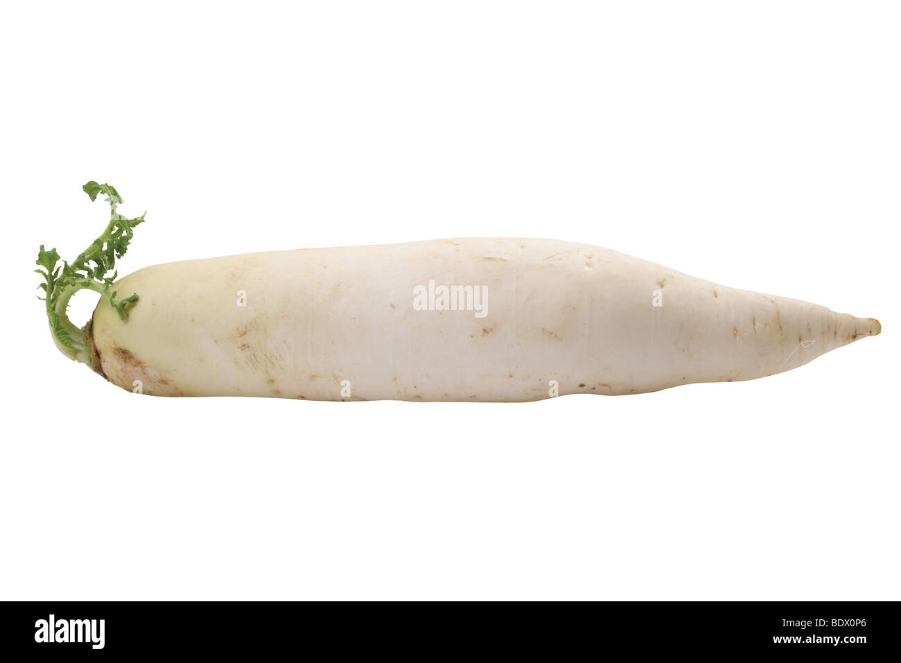 Vegetable radish hi-res stock photography and images - Alamy
