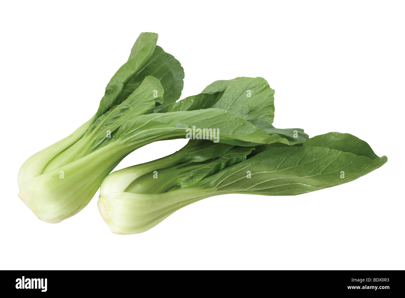 Chinese delicious Cut Out Stock Images & Pictures - Alamy