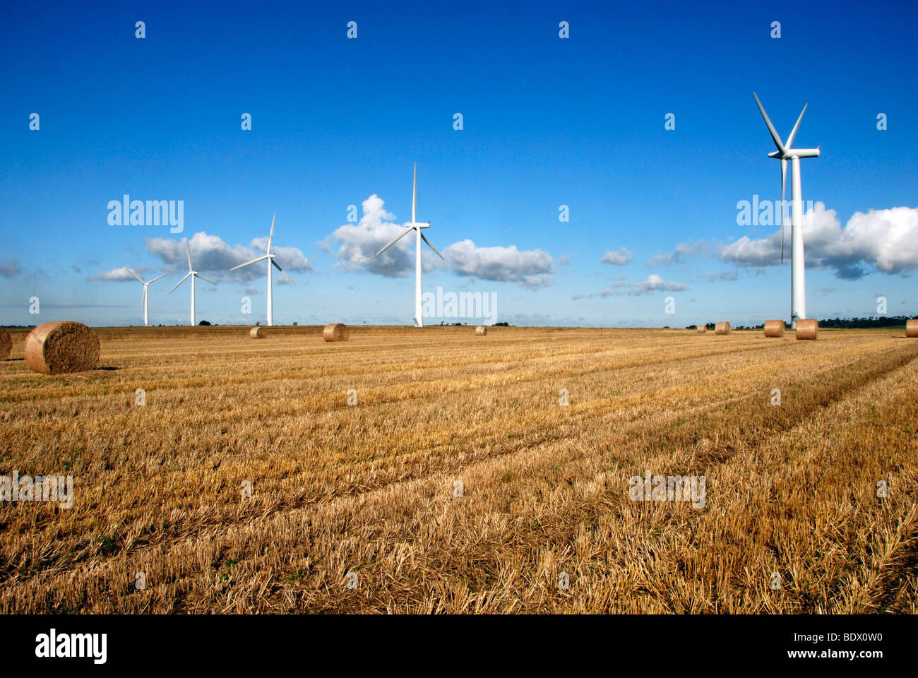 Westmill West Mill Wind Turbines Watchfield Swindon Wiltshire UK Field ...