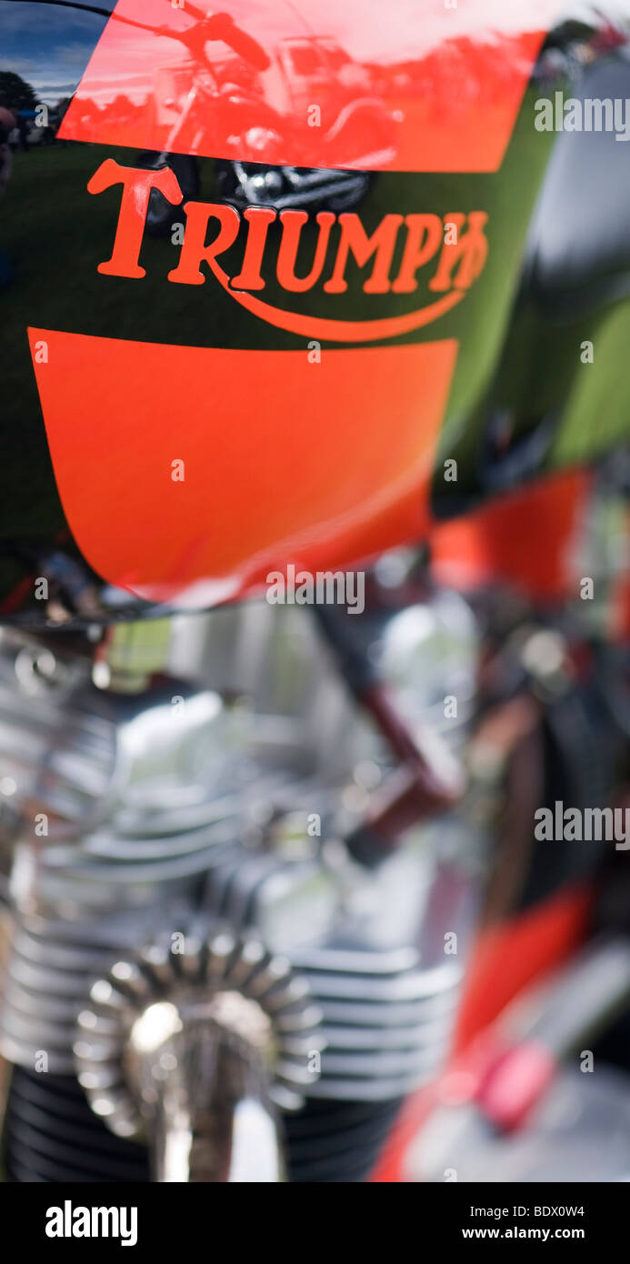 Custom Triumph motorbike , Classic british motorcycle Stock Photo - Alamy