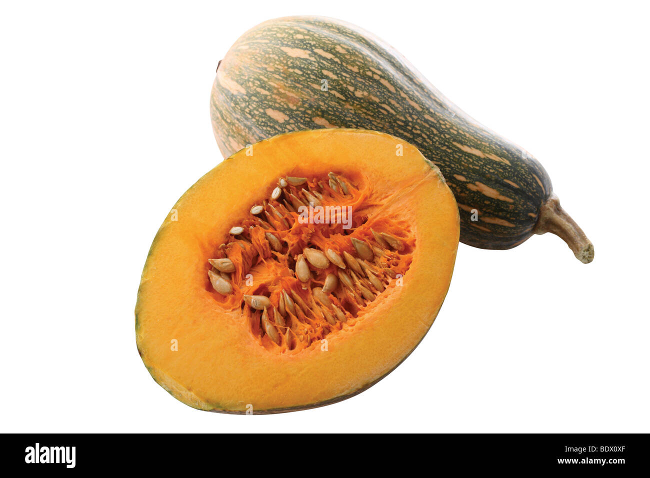 Cucurbita moschata pumpkin Cut Out Stock Images & Pictures - Alamy