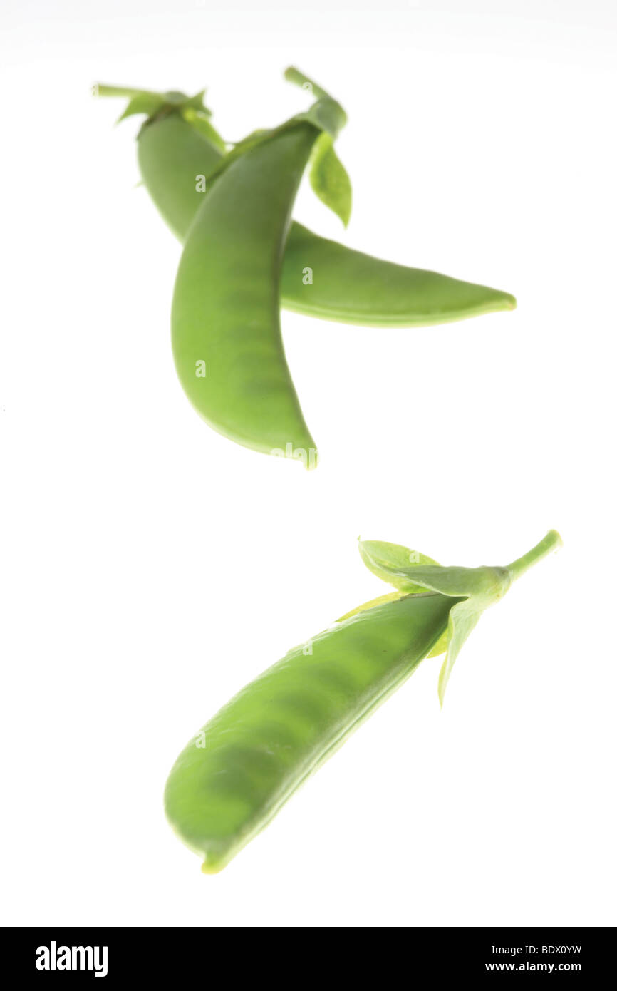 Bean image Cut Out Stock Images & Pictures - Alamy