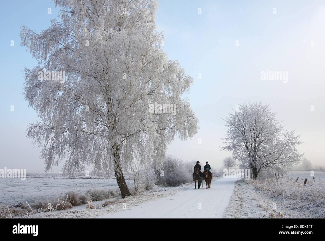 Bremen blockland hi-res stock photography and images - Alamy