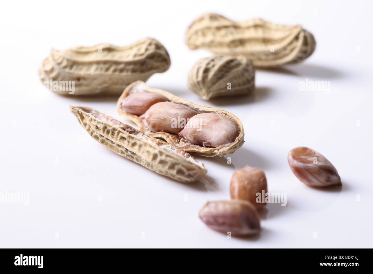 Peanut color hi-res stock photography and images - Alamy