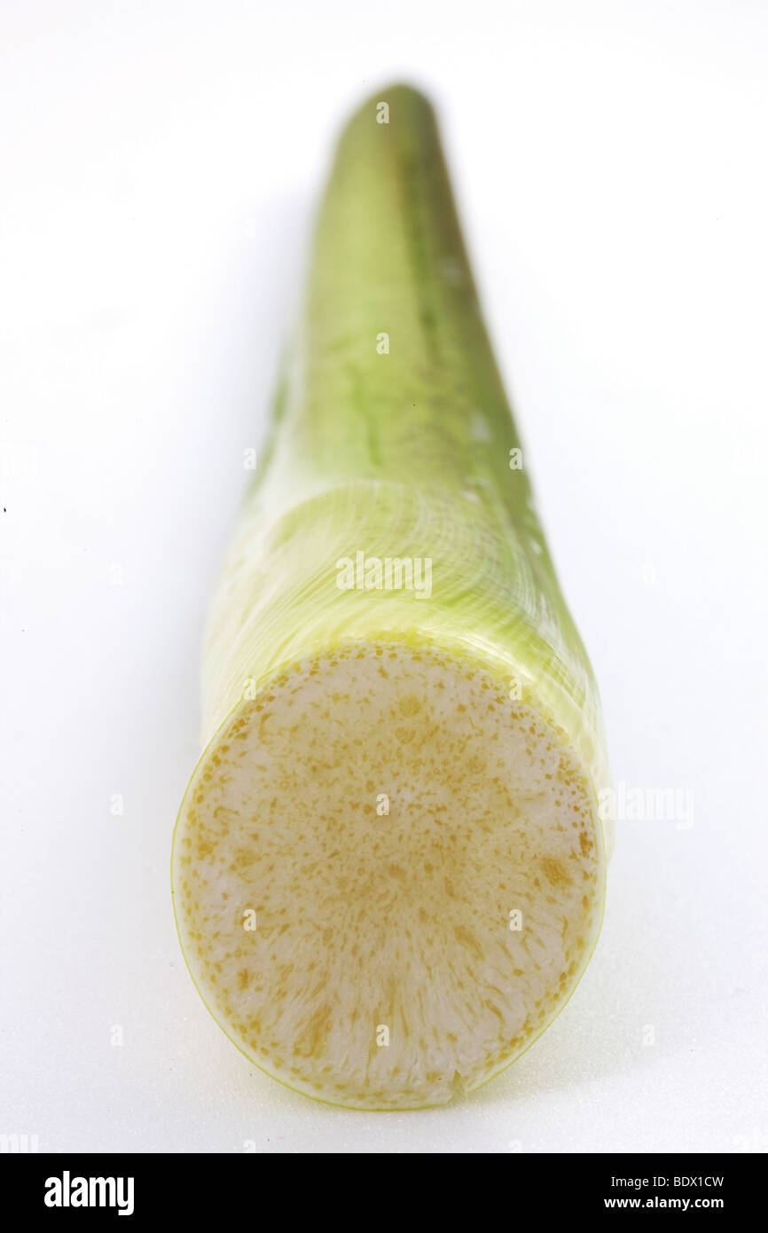 Shoot vegetables hi-res stock photography and images - Alamy