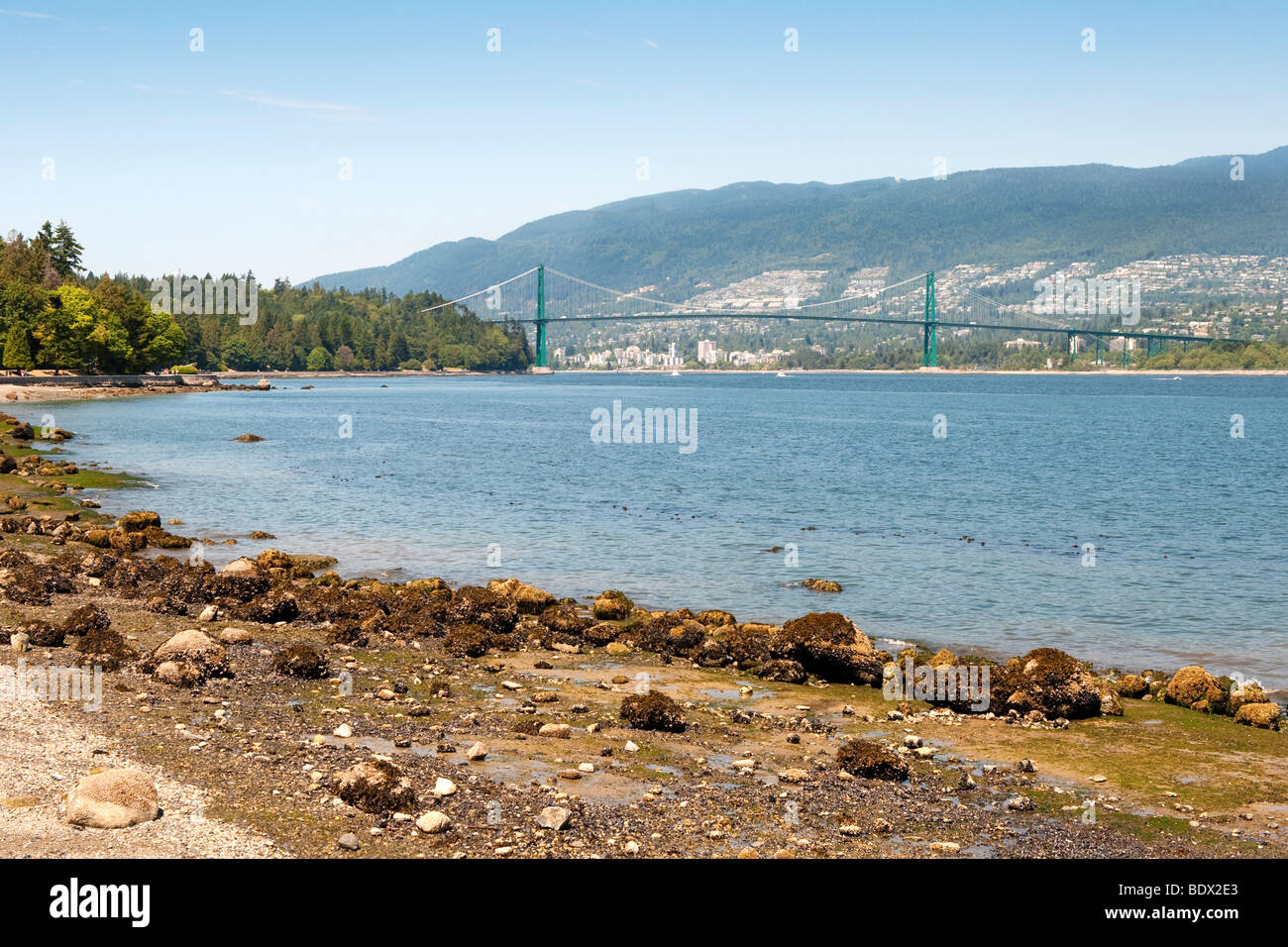 View of Burrard Inlet and Lions Gate Bridge (1938) from Stanley Park ...
