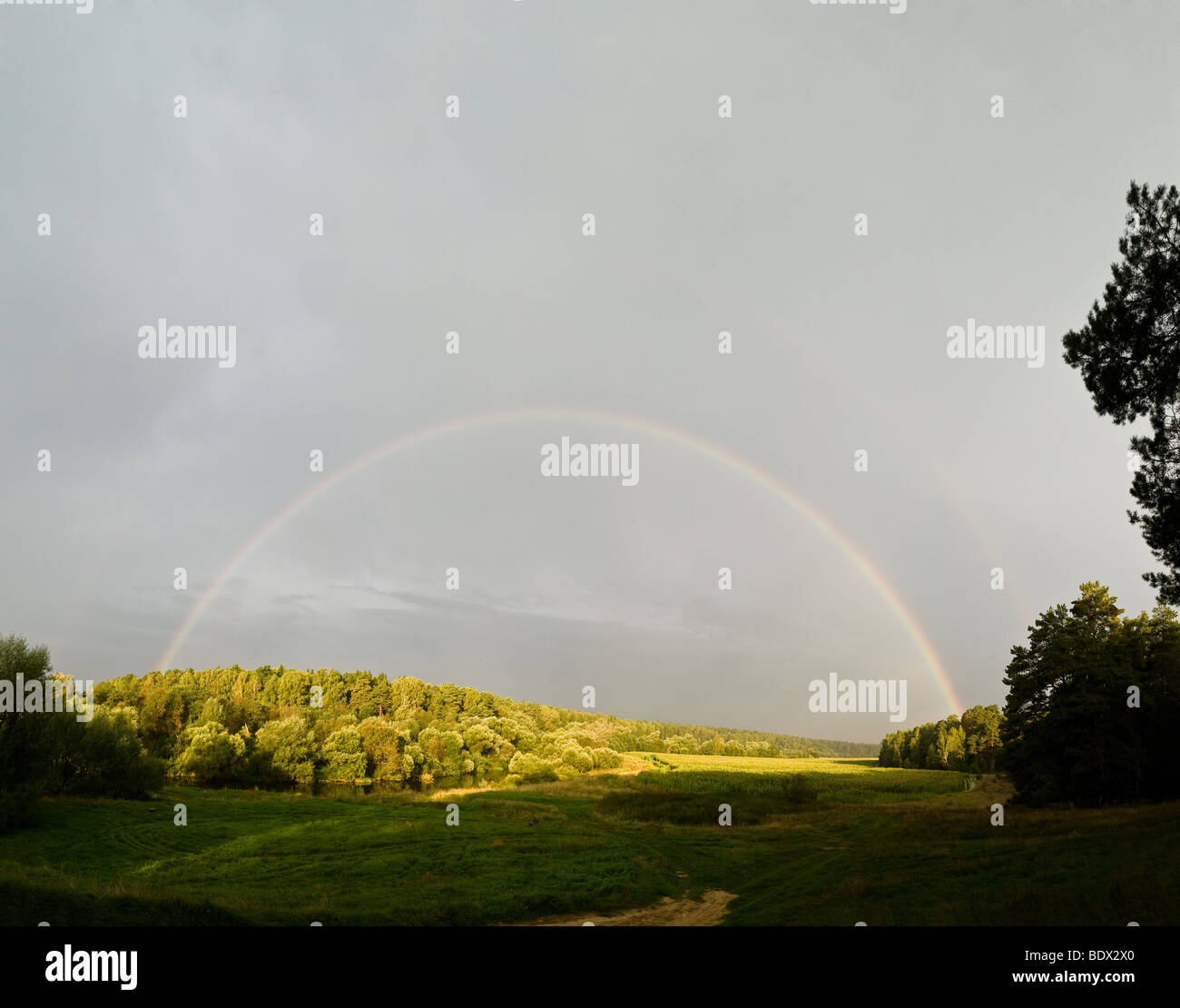 Rainbow over a meadow Stock Photo - Alamy