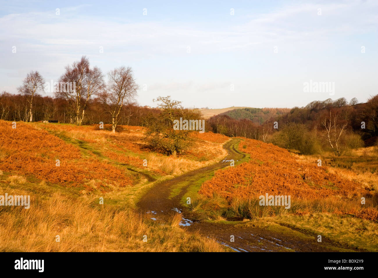 View of a Path running across Ramsley Moor in the Peak District in ...