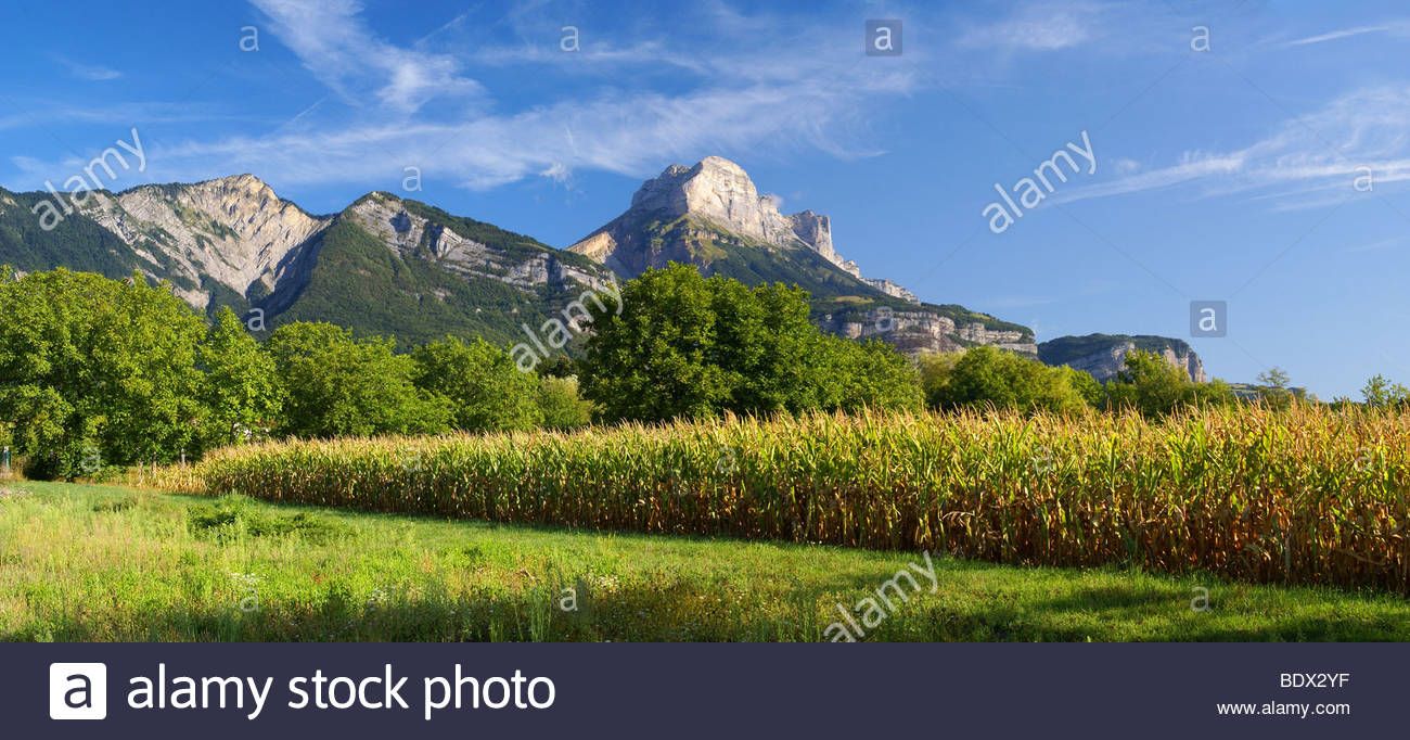 Chartreuse Massif High Resolution Stock Photography and Images - Alamy