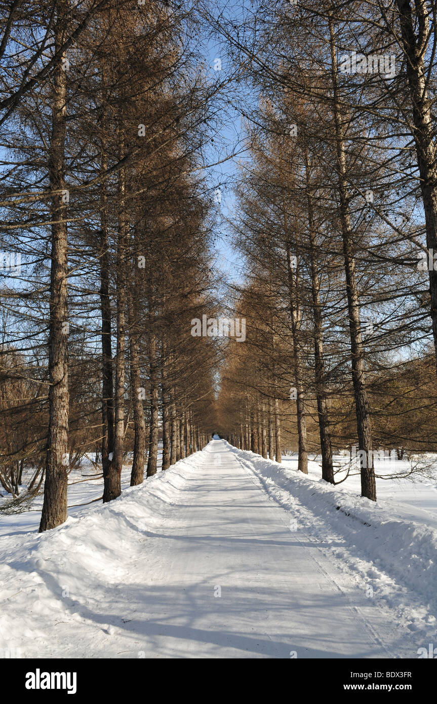 Alley trail hi-res stock photography and images - Alamy