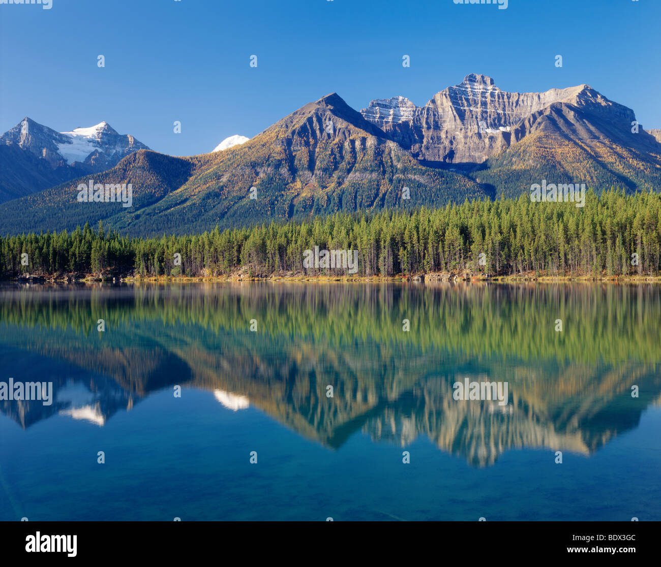 Herbert Lake, Banff National Park Alberta Canada Stock Photo - Alamy