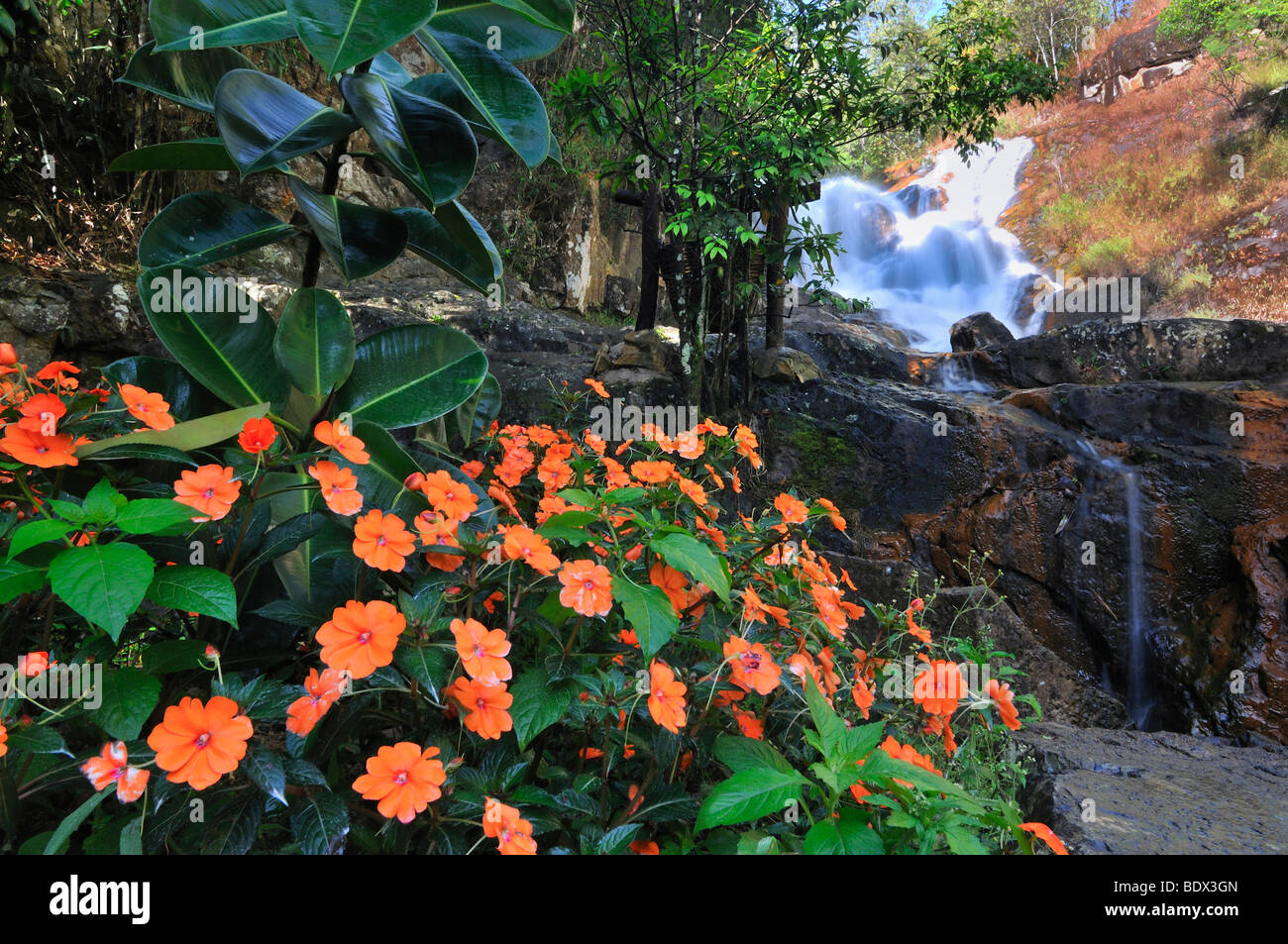 Datanla waterfall, tourist attraction, Central Highlands, Dalat, Asia ...