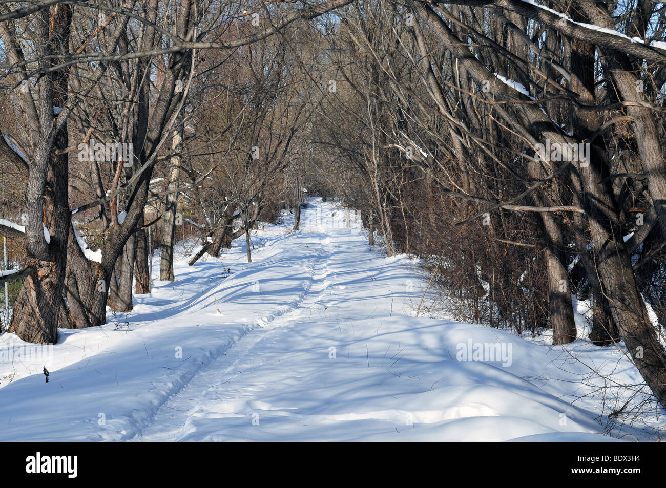Winter park scene trail hi-res stock photography and images - Alamy